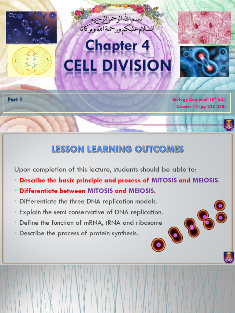 Chapter 4 - Cell Division - Part 1 | Download Free PDF | Meiosis | Mitosis