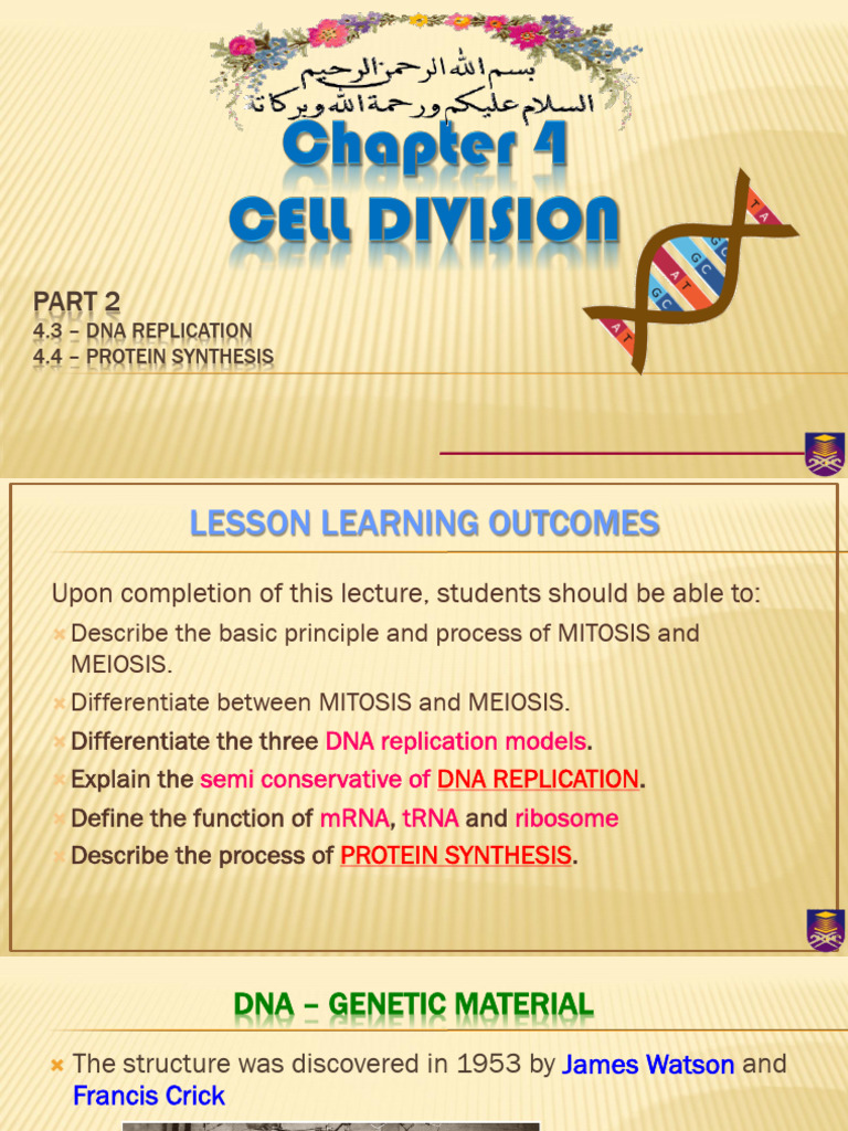 Chapter 4 - Cell Division - Part 2 WNHWA 2 | PDF