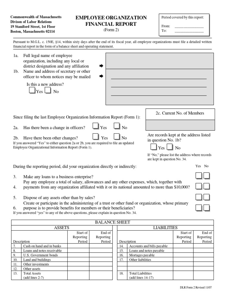 Employee Organization Financial Report Form | PDF | Financial Statement ...