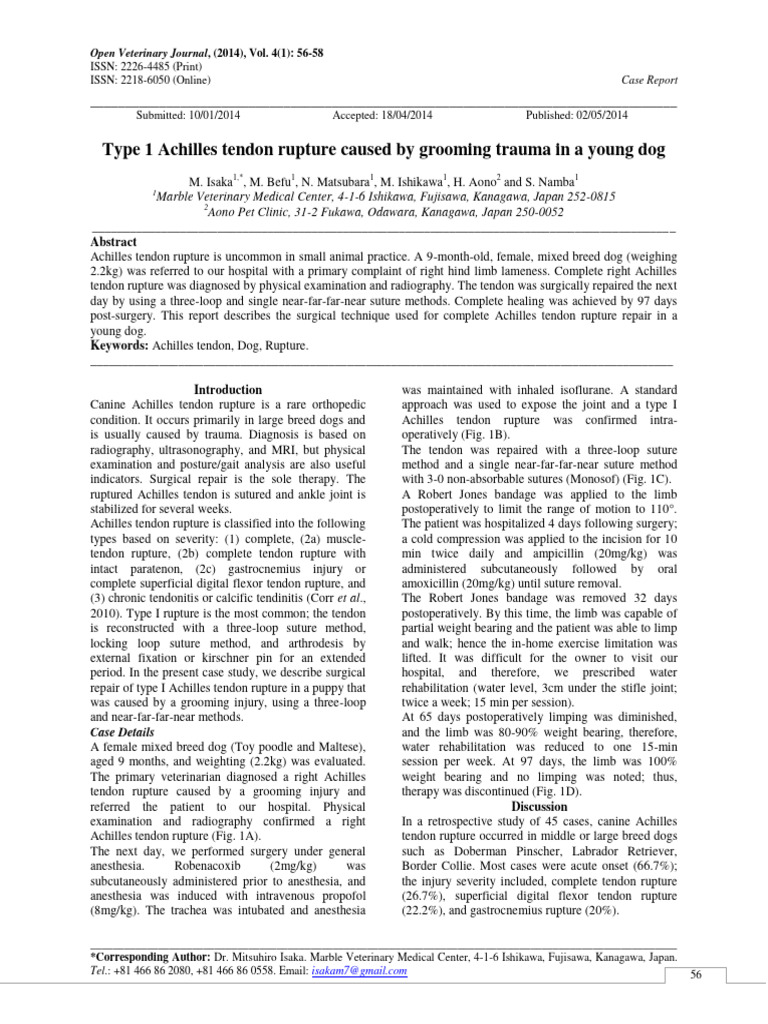 OVJ-006-01-14 M. Isaka Et Al | PDF | Surgery | Tendon
