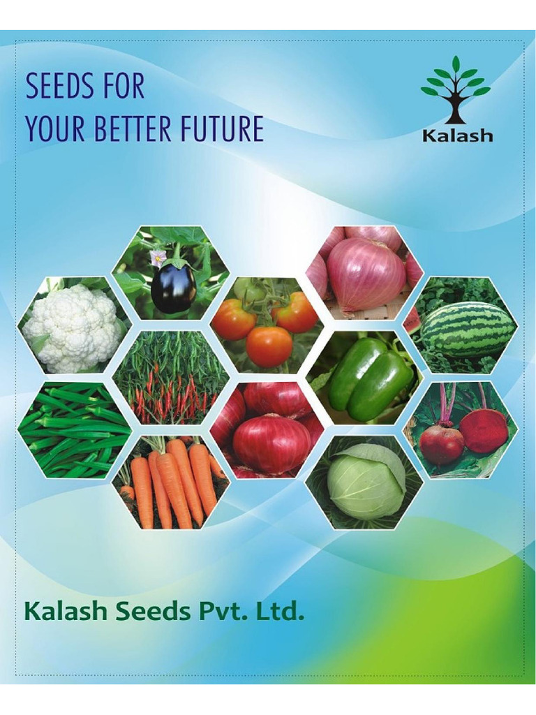 Kalash Seeds-India Catalogue | PDF