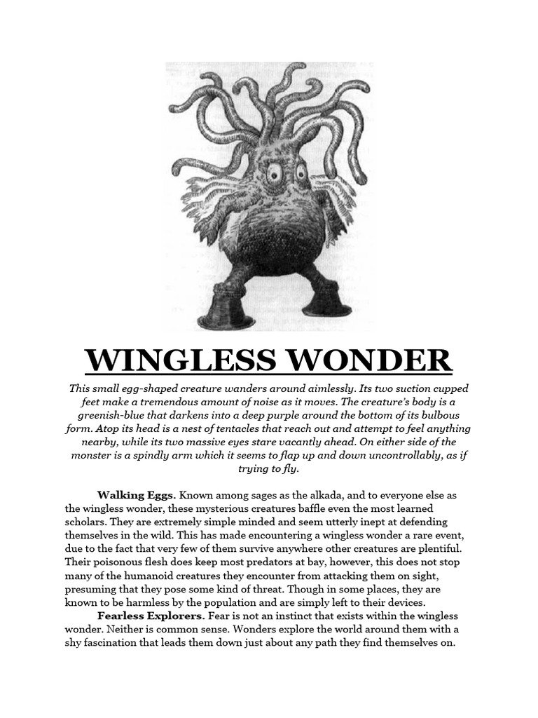Wingless Wonder | PDF