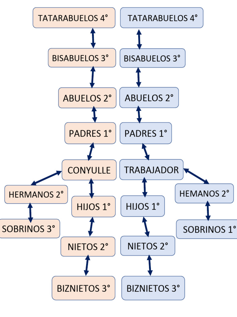 Cuadro Pag. 163 Grados y lienas de Parentesco | PDF