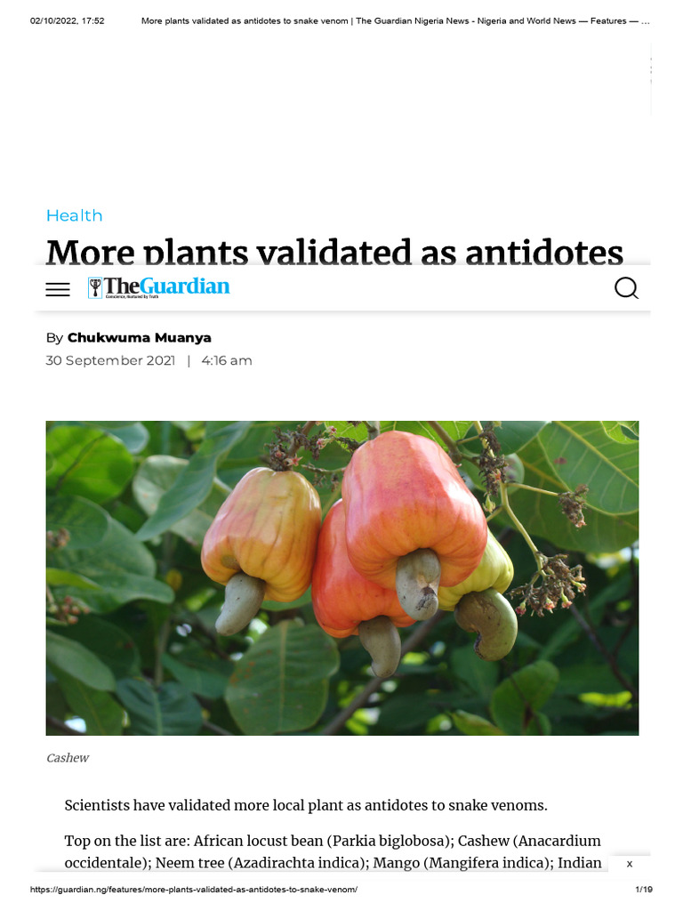 Plants as Snake Venom Antidotes | PDF | Sodium Bicarbonate