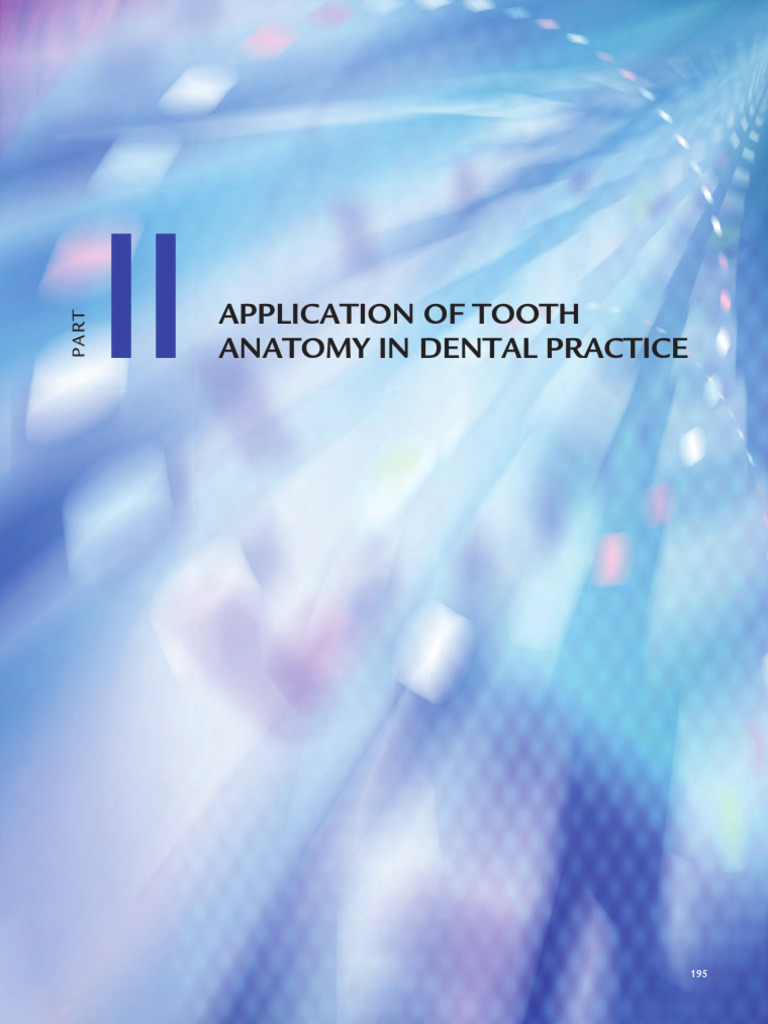 Important Application of Tooth Anatomy in Dental Practice | Download ...