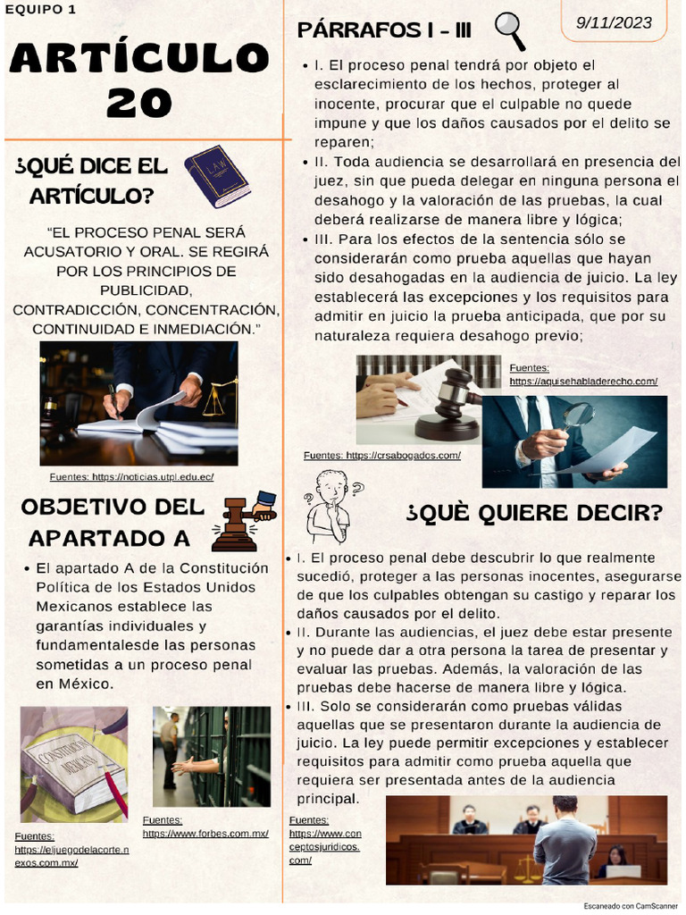 Articulo 20 Constitución | PDF | Derecho penal | Judicaturas