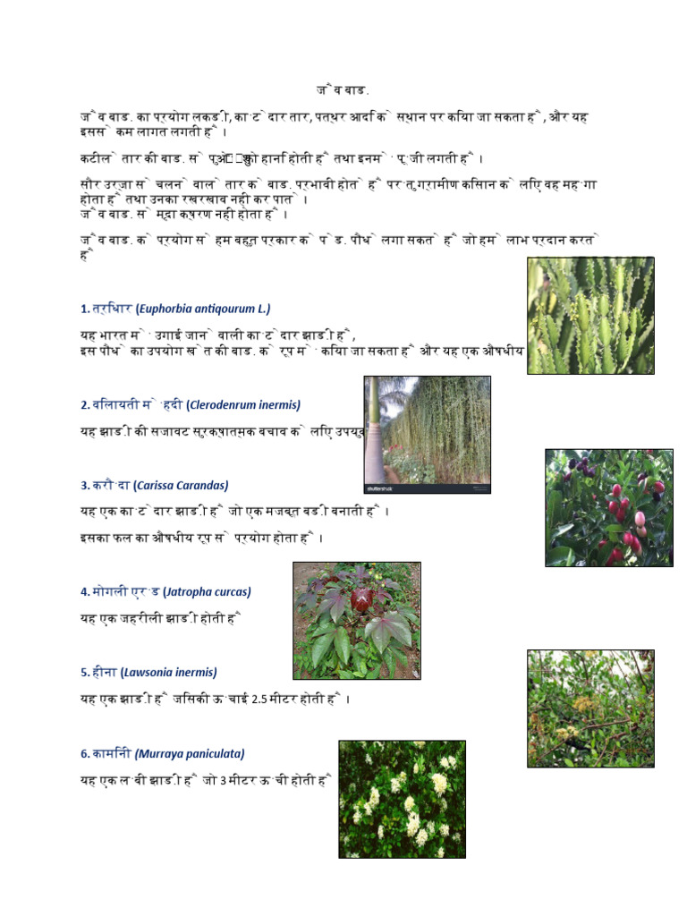 Fencing and Layout Details | PDF