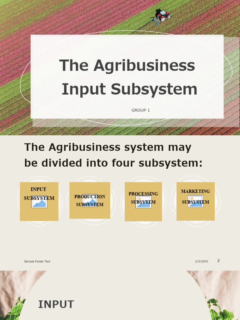 Agribusiness Input Subsystem Overview | PDF | Agriculture | Agricultural Machinery