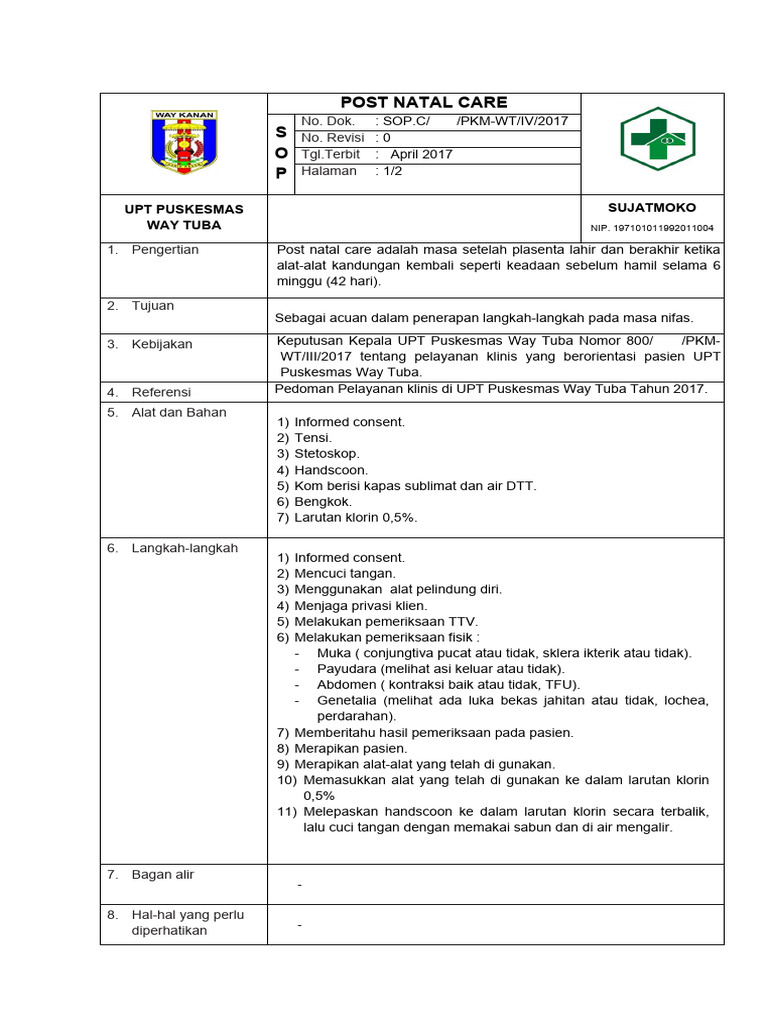 Panduan Pelayanan Post Natal Care | PDF