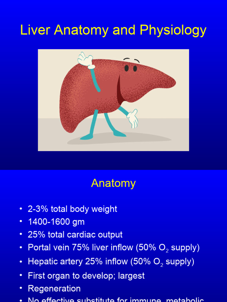 liver anatomy and physiology ppt | PDF | Liver | Medical Specialties