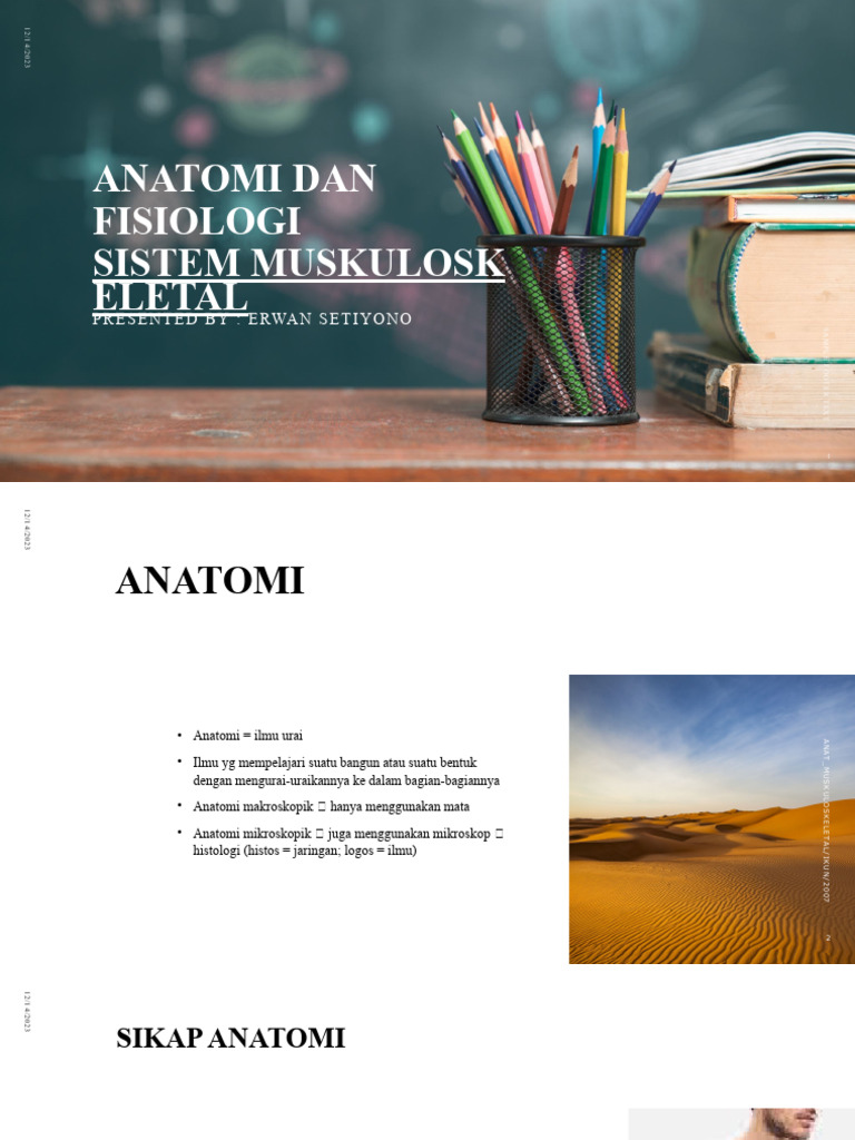 Antomi Fisiologi Muskuloskeletal (Autosaved) | PDF