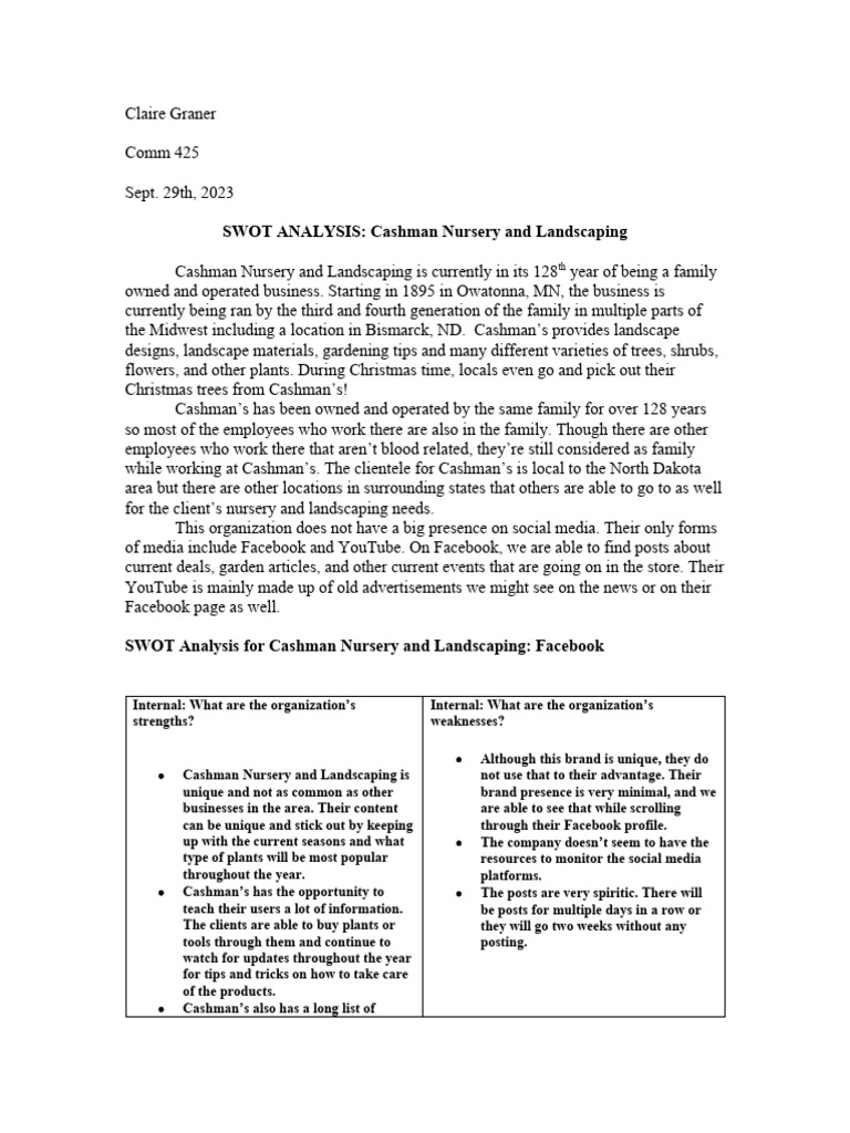 Swot Analysis Template | PDF | Popular Culture & Media Studies | Social ...
