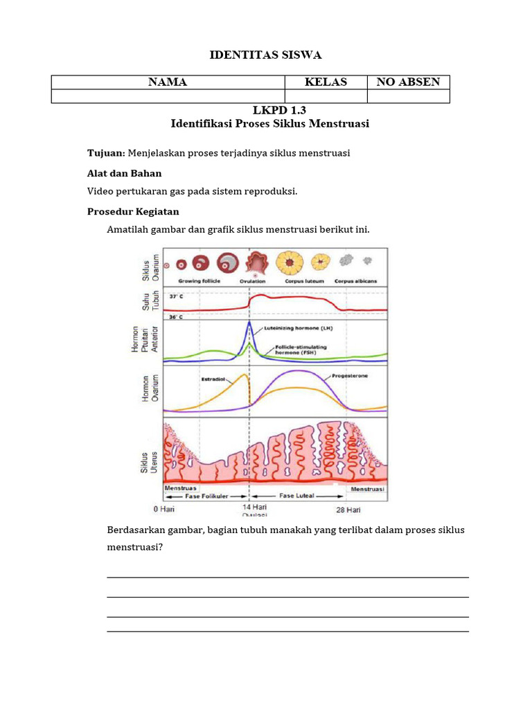 LKPD 1.3 Siklus menstruasi | PDF