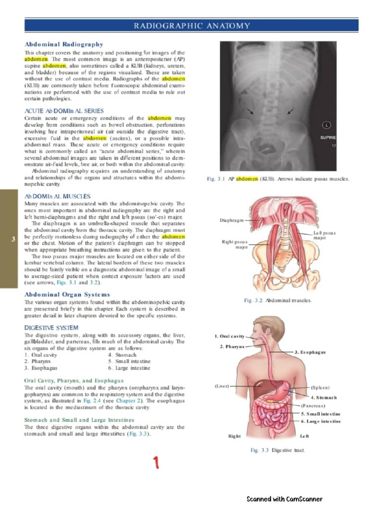ABDOMEN RADIOGRAPHY POSITIONING 3rd Sem | PDF