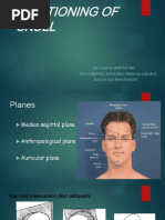 Sinuses Positioning Chart | PDF | Skull | Human Nose