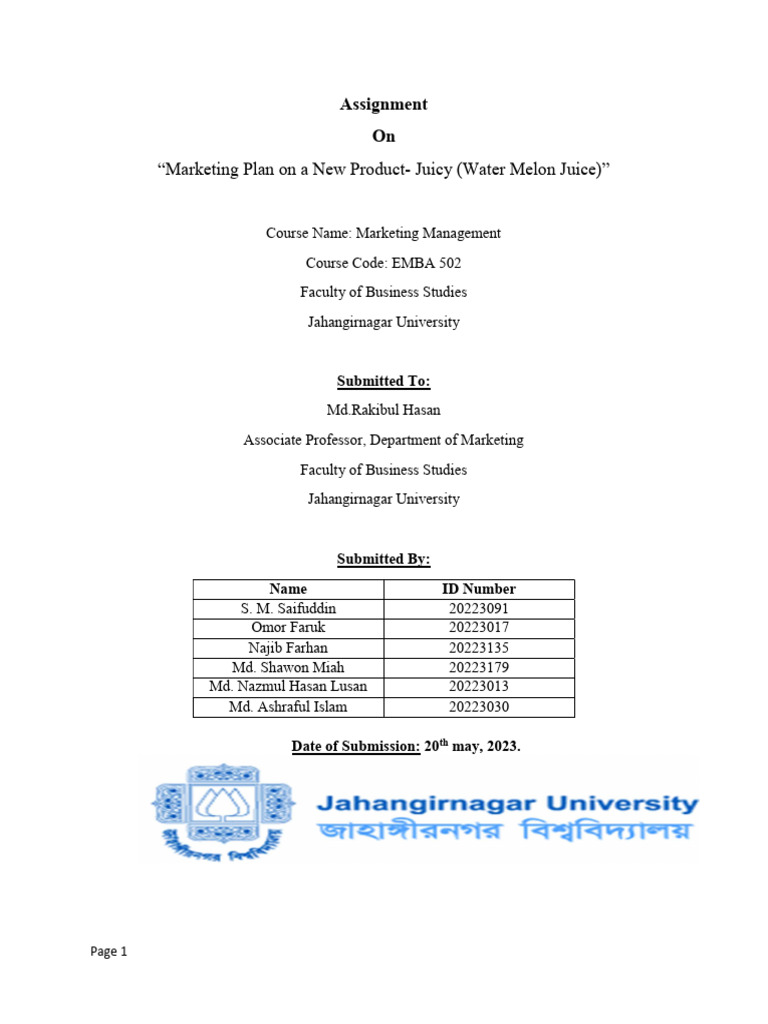 Assignment New Product Marketing Plan - Watermelon Juice | PDF ...