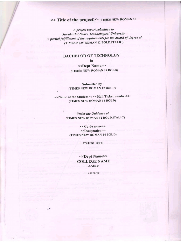 Project Documentation Guidelines | PDF