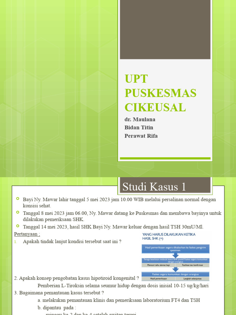 PKM Cikeusal - Studi Kasus HK | PDF