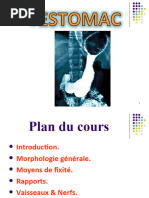 Anatomie des anses grêles et mésentère | PDF | Péritoine | Spécialités ...