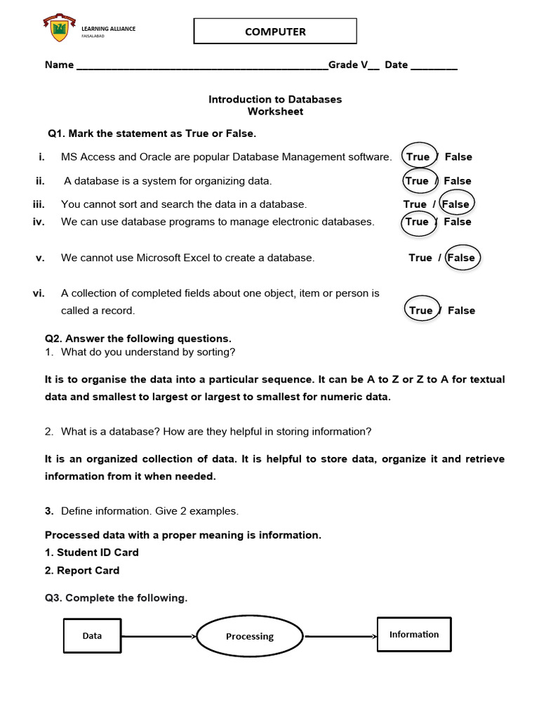 Quiz Introduction To Databases | PDF | Career & Growth | Business