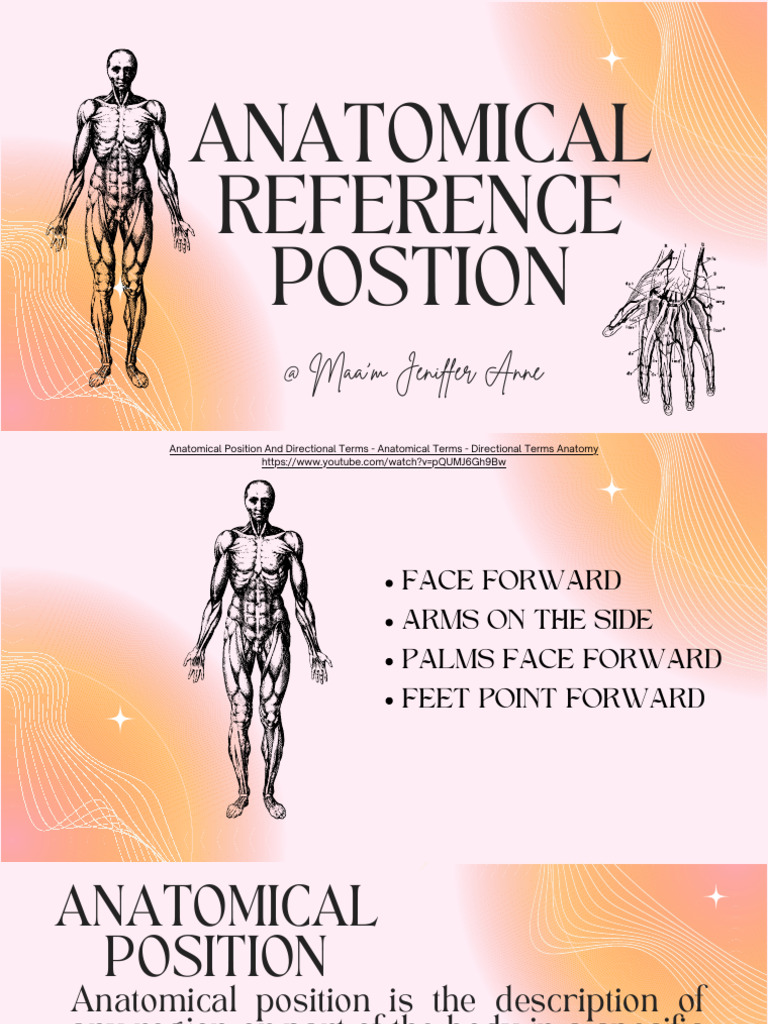 PE1-ANATOMICAL REFERENCE POSTION & DIRECTIONAL TERMS | PDF | Anatomical ...