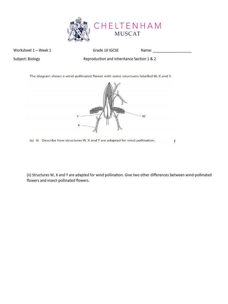 Worksheet On Reproduction IGCSE Biology | PDF