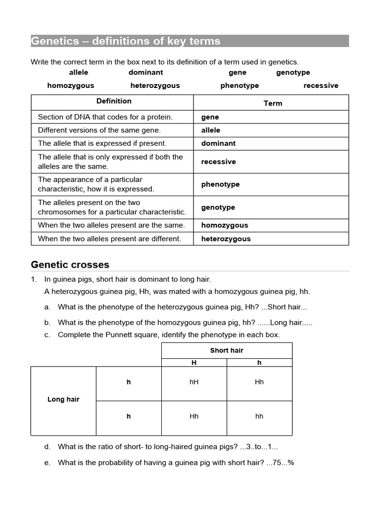 ws1 - Definition Match of Genetics Terms | PDF | Zygosity | Dominance ...