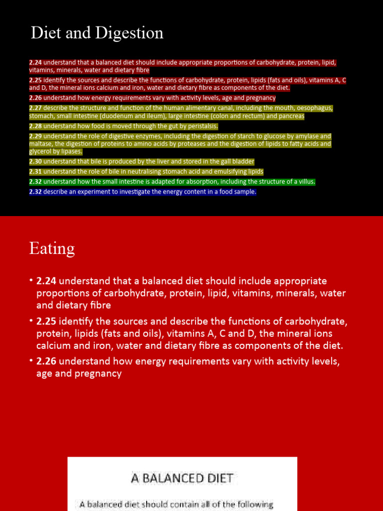 02 Diet And Digestion Igcse Biology Pdf Digestion Small Intestine