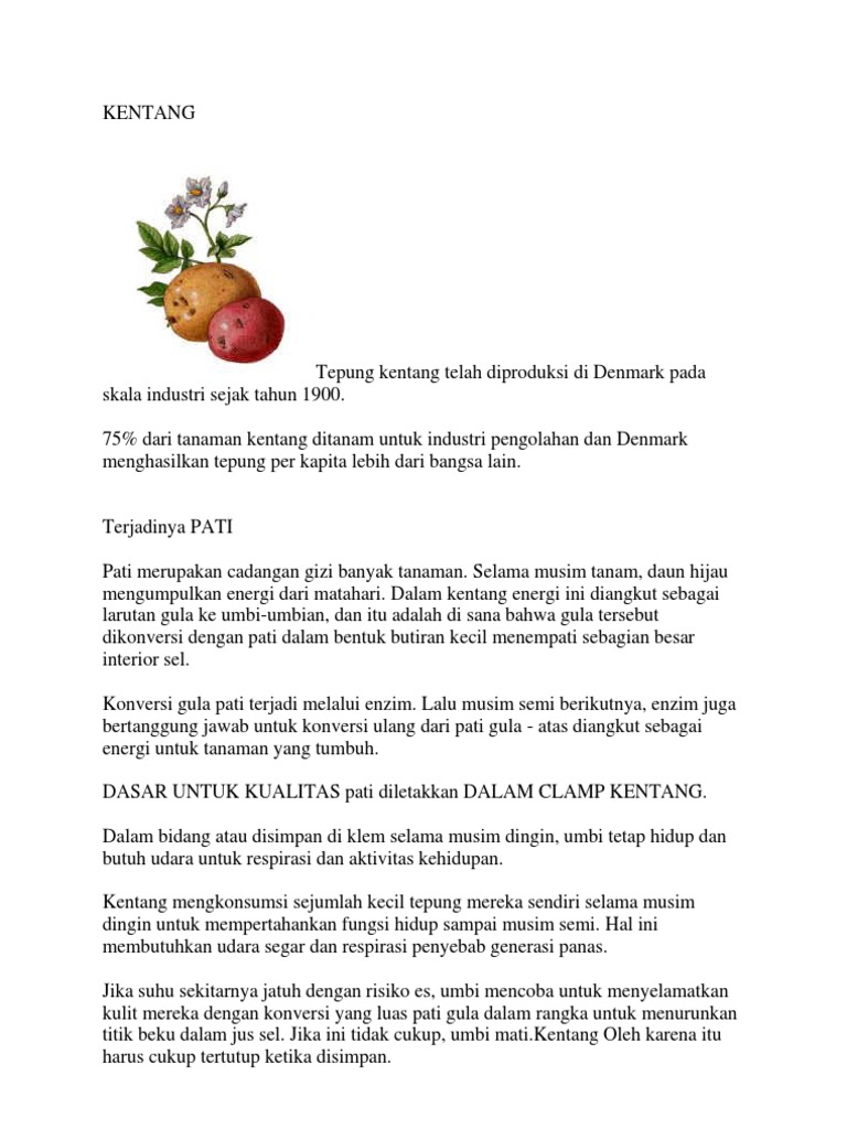 Amilum Kentang | PDF | Memasak, Makanan, & Anggur