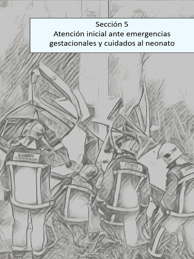BLOQUE II. 27 Atención inicial ante emergencias gestacionales y ...