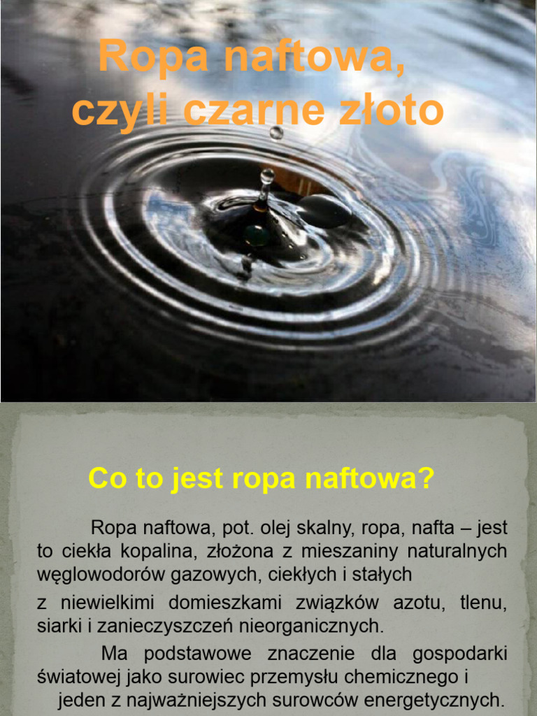 Ropa | PDF