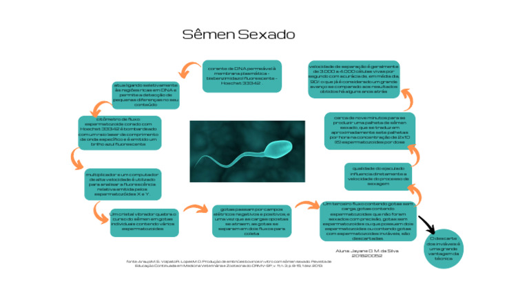 Mapa Mental - Semen Sexado | PDF | Sêmen | Citometria de fluxo