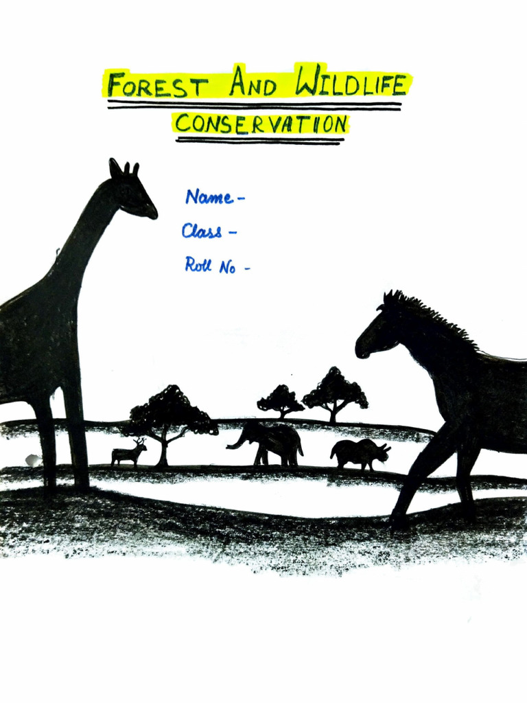 Forest and Wildlife Conservation. Project | PDF