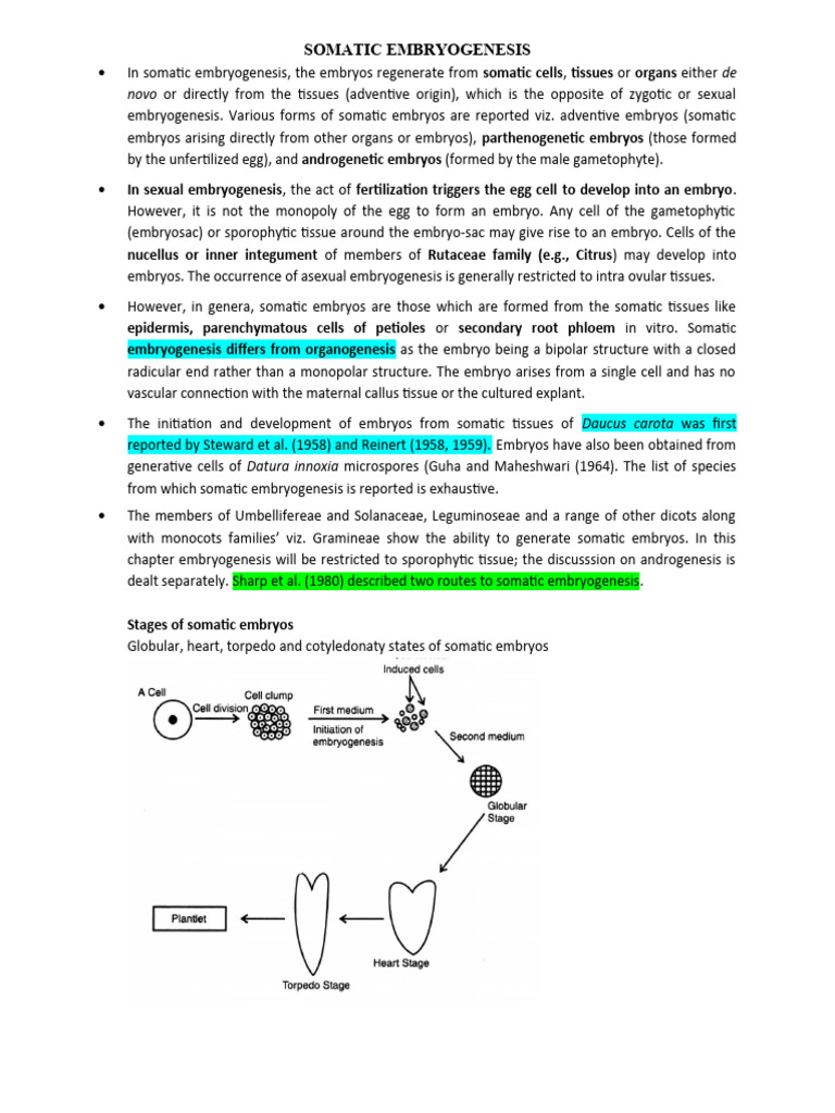 Somatic Embryogenesis in Plants | PDF | Embryo | Change