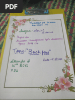 Forest Society and Colonialism Class 9 Project | PDF | Sustainability | Deforestation