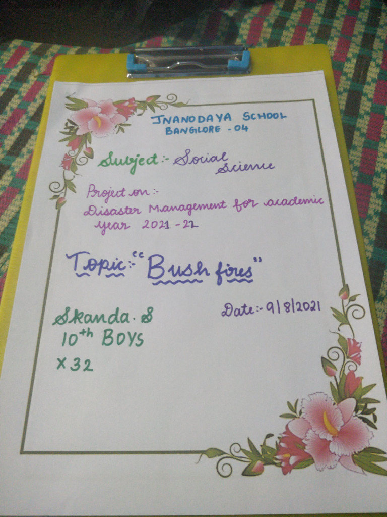 Disaster Management Project Class 10 | PDF