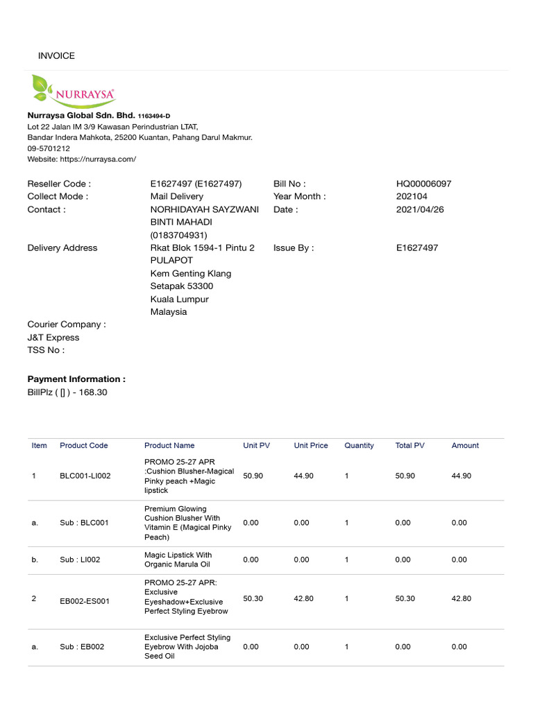 nurraysa-global-sdn-bhd-payment-information-pdf