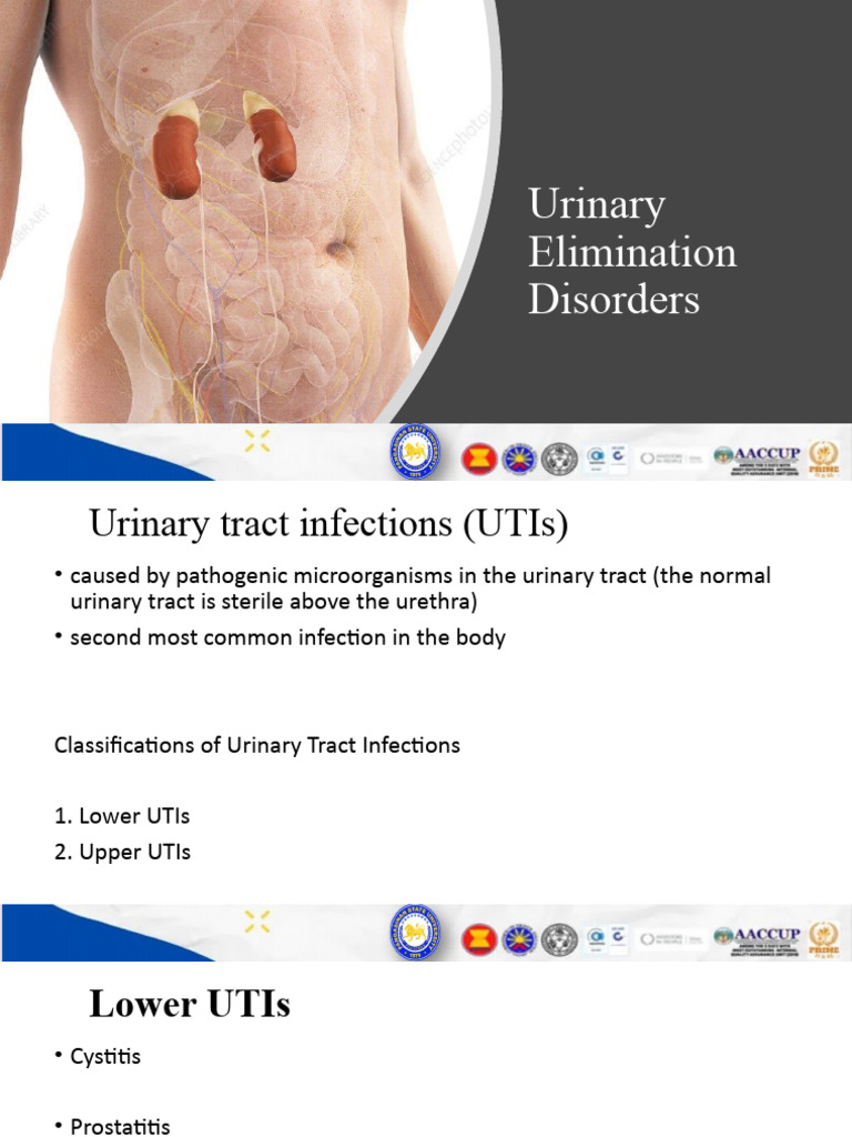 Urinary Elimination | PDF | Urinary Incontinence | Urinary Tract Infection
