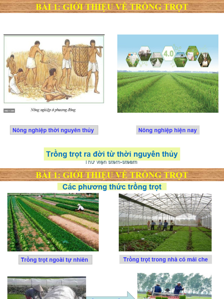 Bai 1 Gioi Thieu Ve Trong Trot | PDF