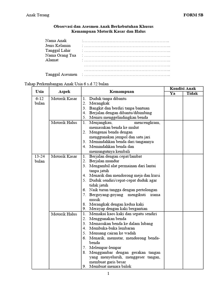 Form 5B - Instrumen Asesmen ABK Khusus | PDF