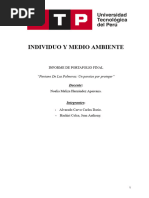 Ficha de Trabajo - Sabana Humeda Con Palmeras | PDF | Ecosistema | Sabana