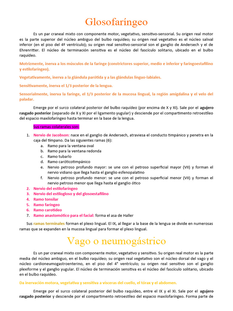 Glosofaríngeo | PDF | Nervio vago | Tórax (anatomía humana)