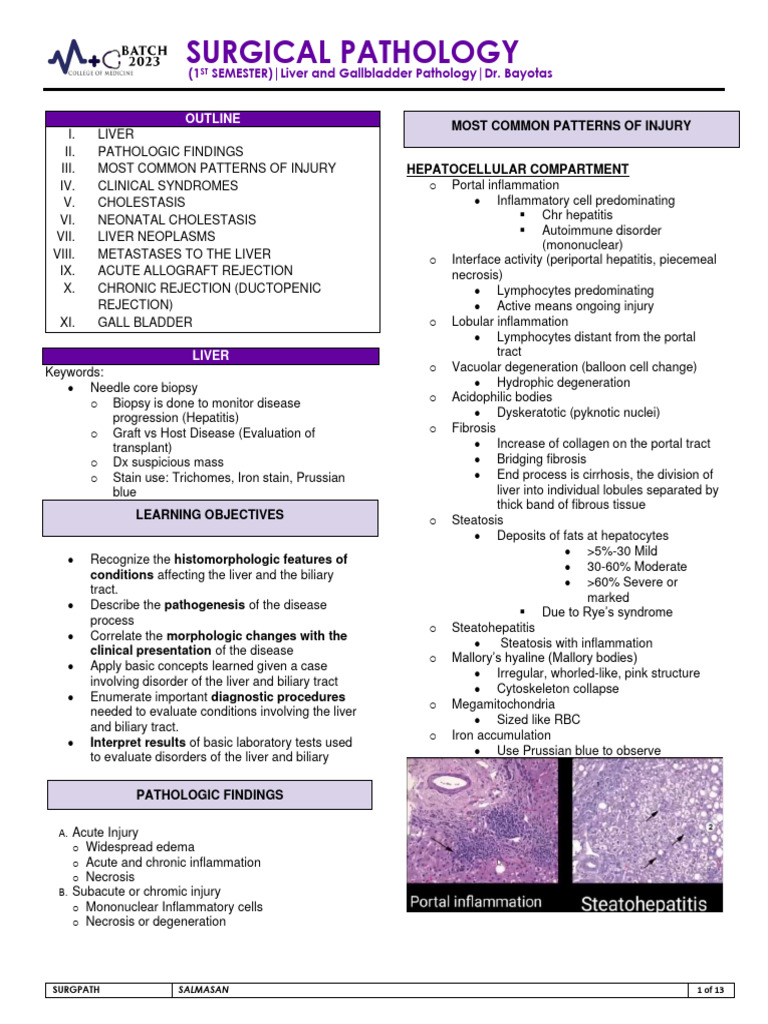 04 Surgical Pathology Liver And Gallbladder Dr Bayotas Pdf