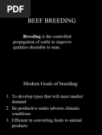 STCatalog-2015-Spring Beef 2015-02-19 Reduced | PDF | Horse Breeding ...