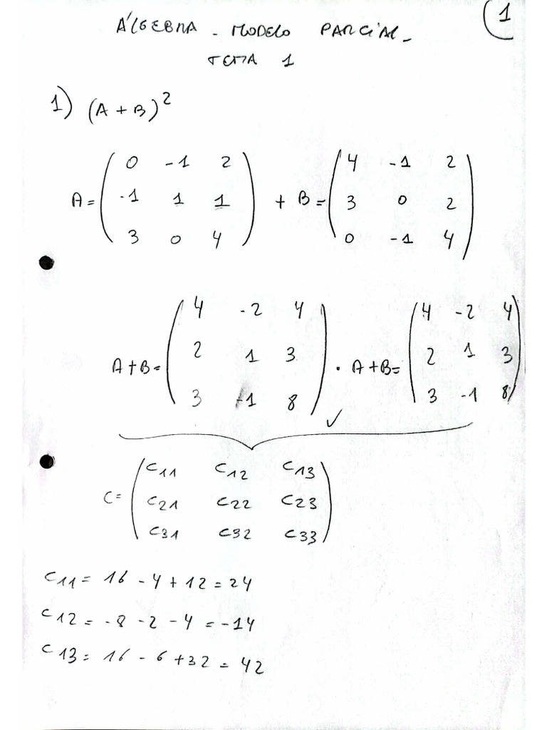 Modelos Parcial Álgebra | PDF