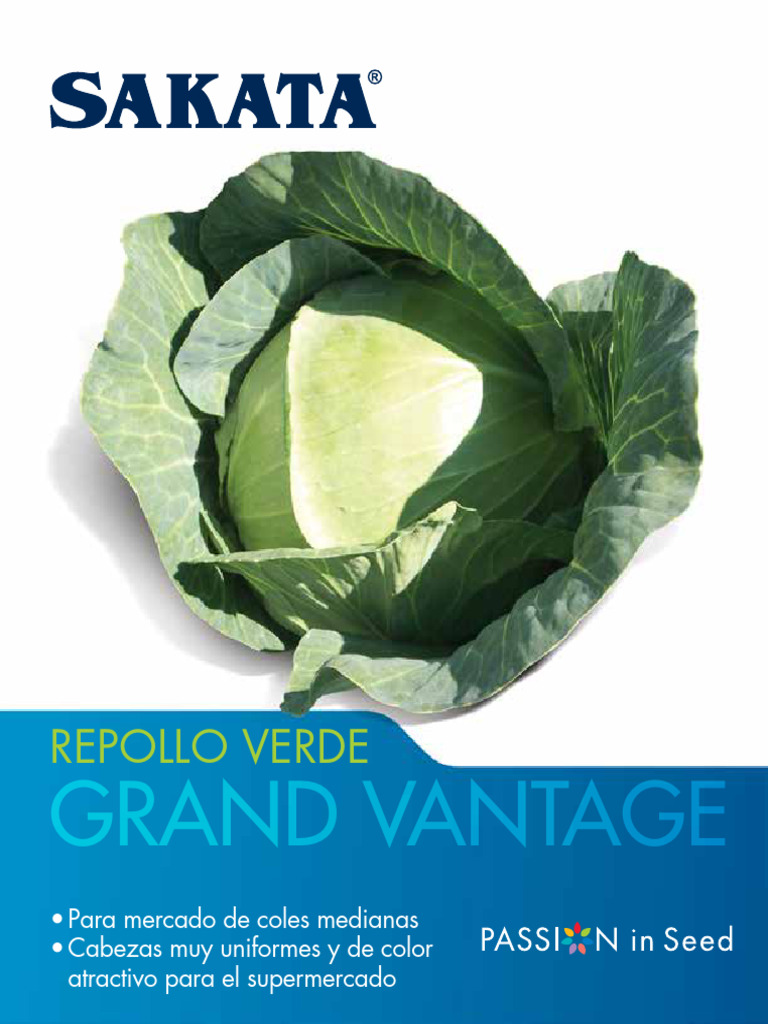 Repollo | PDF | Repollo | Botánica