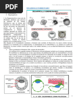 Disco Trilaminar | PDF | Embrión | Morfología (biología)