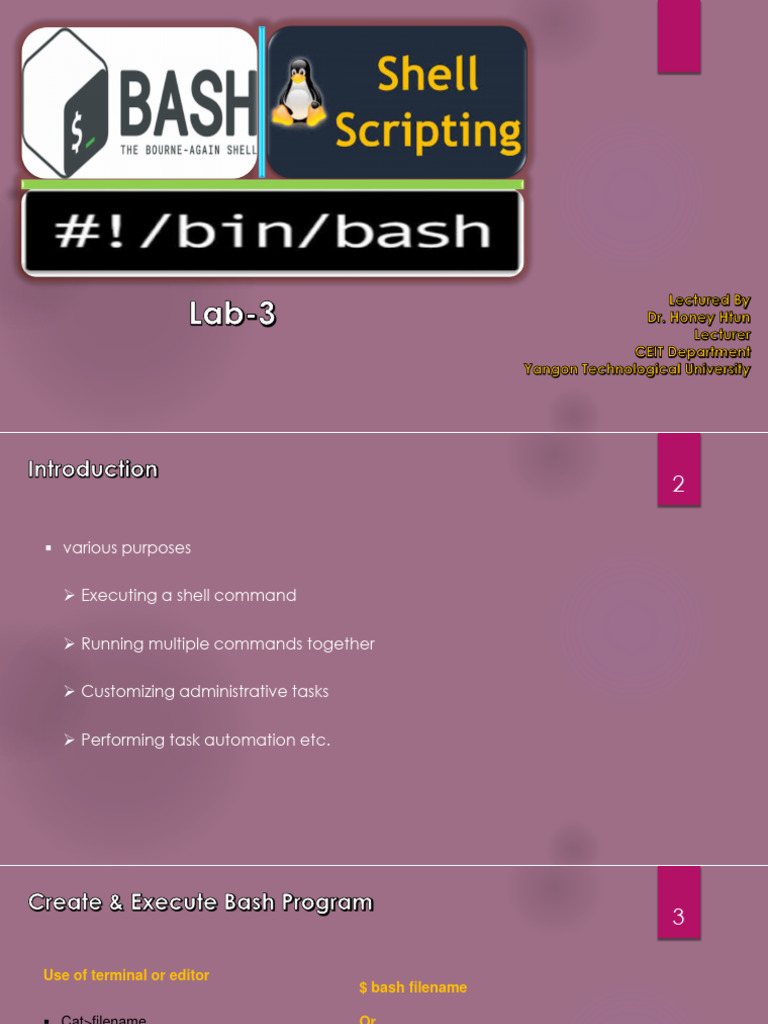 Lecture On Bash Shell Script Pdf Software Development Operating System Technology 