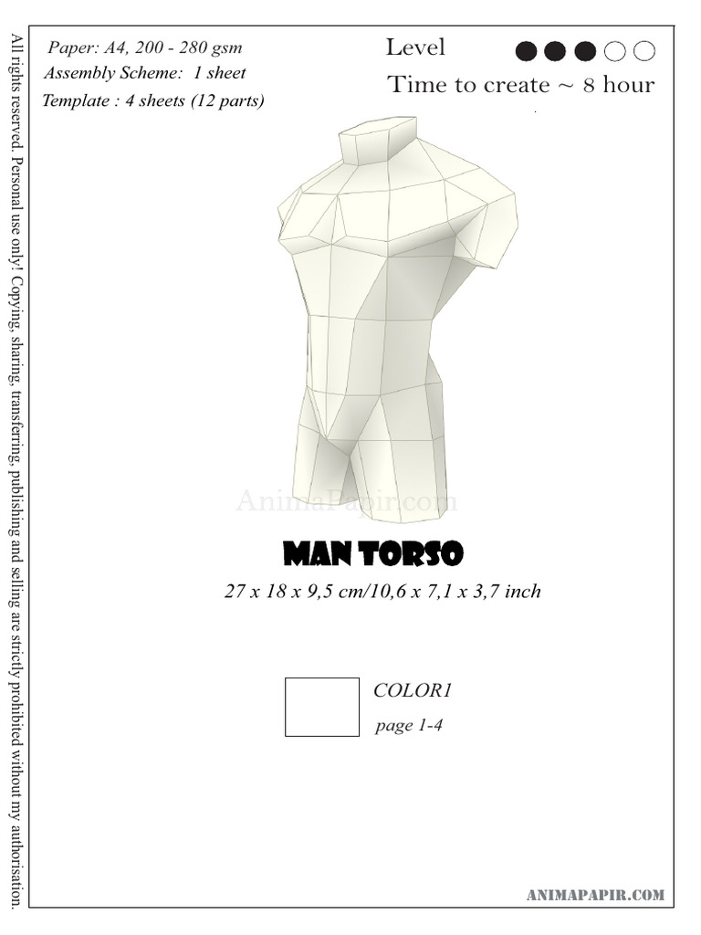 Human Torso Papercraft Template | PDF | Stationery | Equipment
