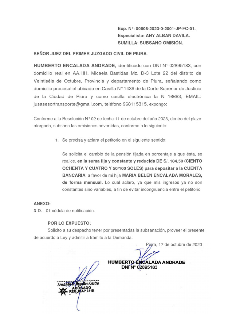 Subano Omisión | PDF